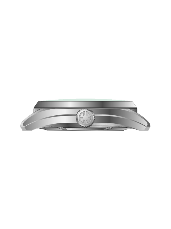 ASCENT 39 Tiger Eye – EREBUS WATCH